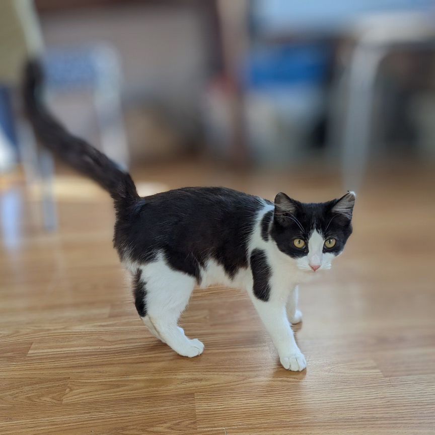 Девочка подросток