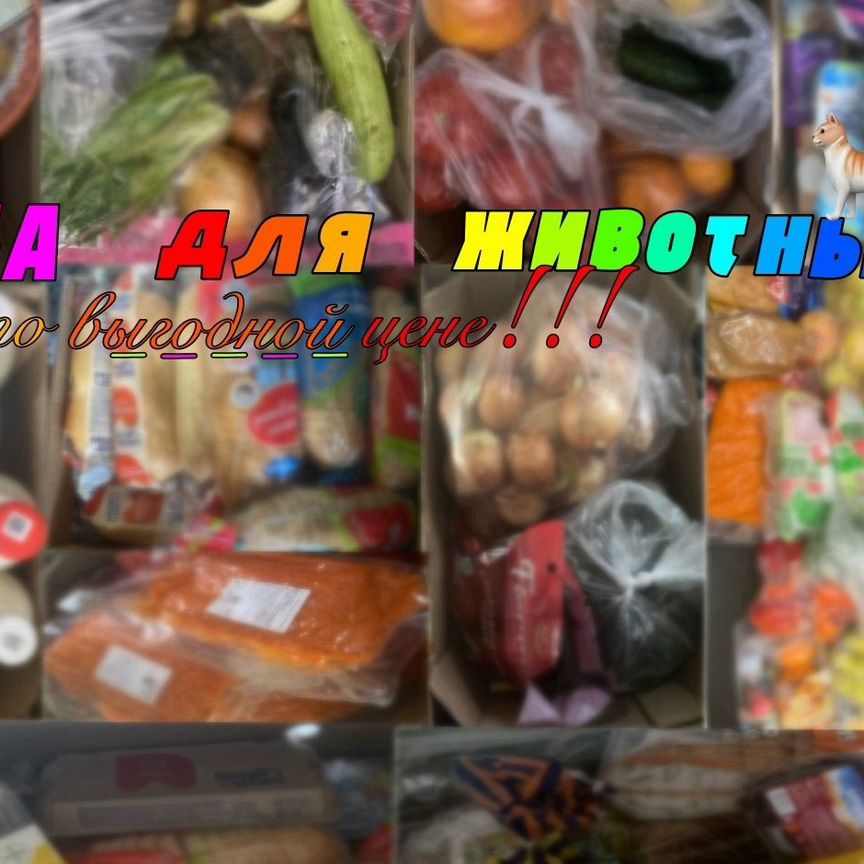 Корм для животных