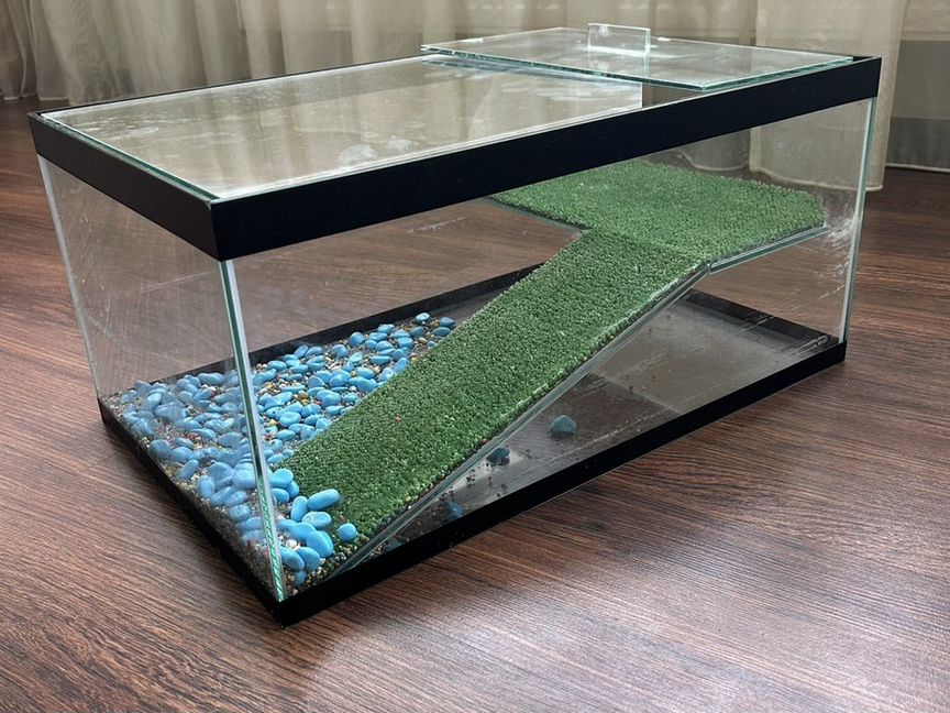 Аквариум,террариум