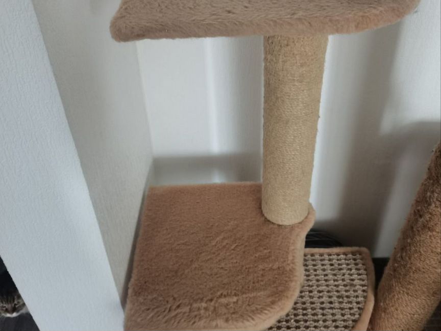 Домик для кошки, когтеточка, лежак