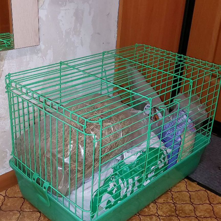 Клетка для грызунов