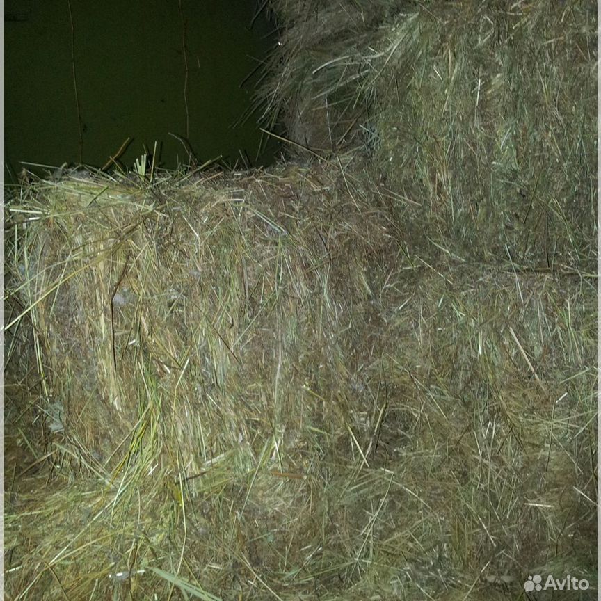Сено качественное в тюках