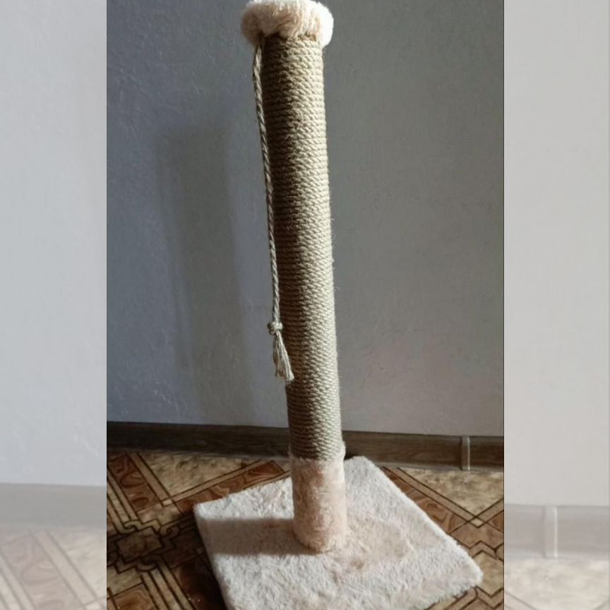 Когтеточка