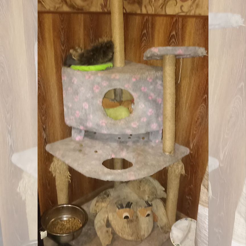 Домик для кошек