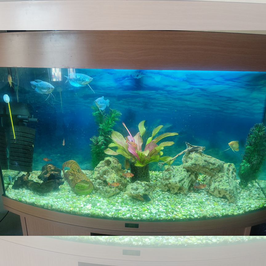 Аквариум с тумбой