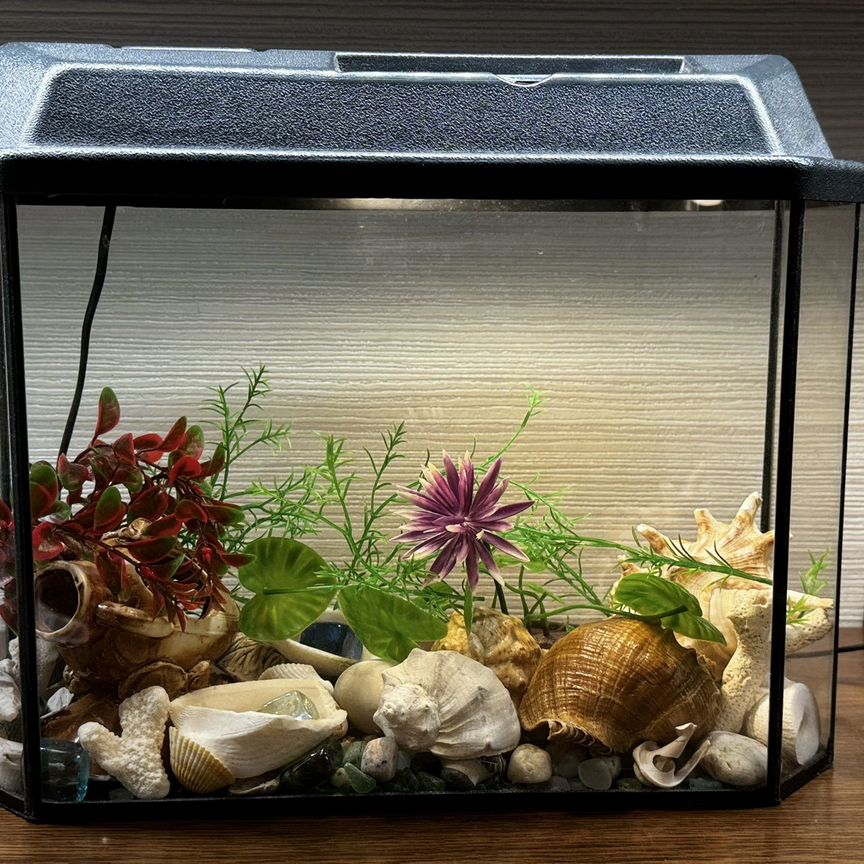 Аквариум с подсветкой   все принадлежности