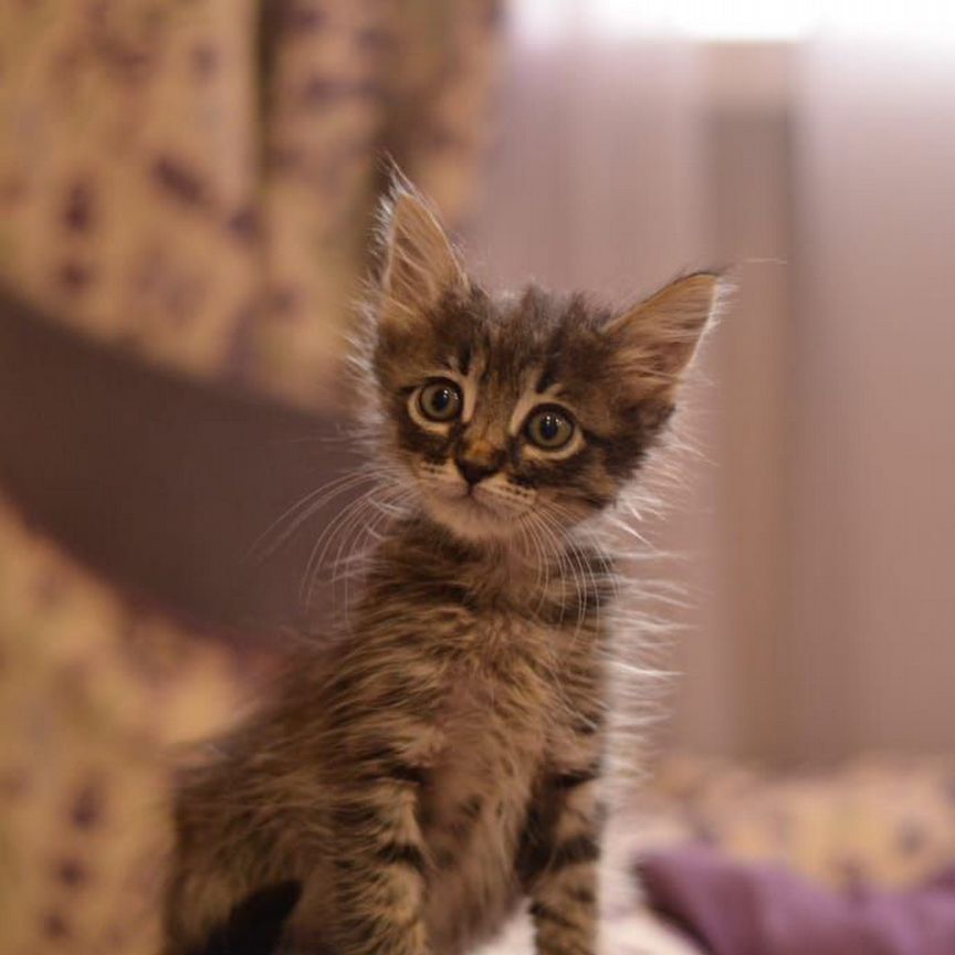 Малыш ждет мамочку