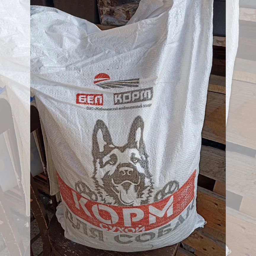 Корм сухой для взрослых собак