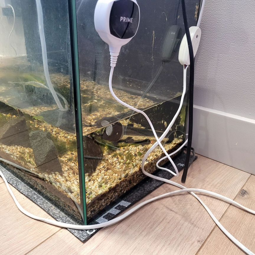 Аквариум 50 литров