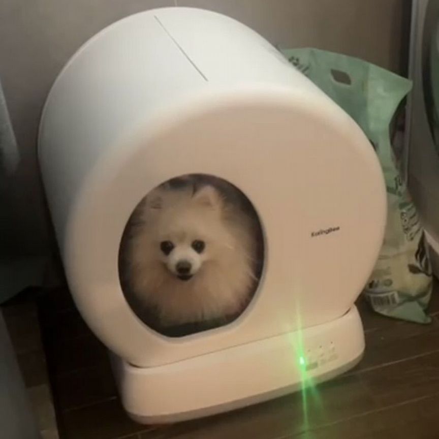 Автоматический лоток для кошек