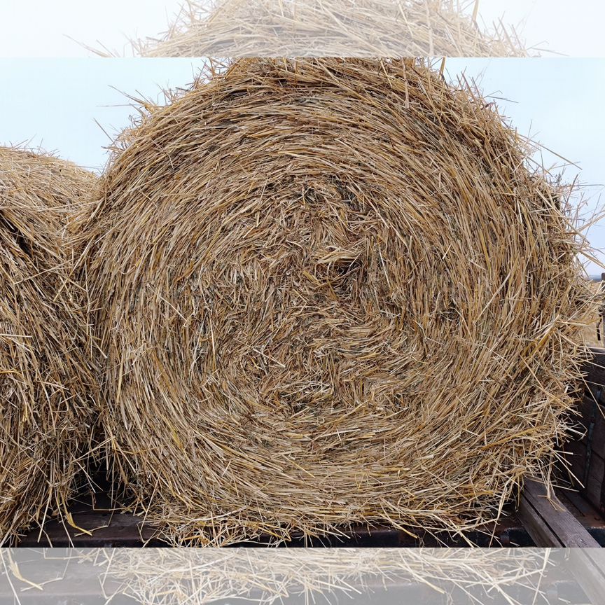 Солома в рулонах