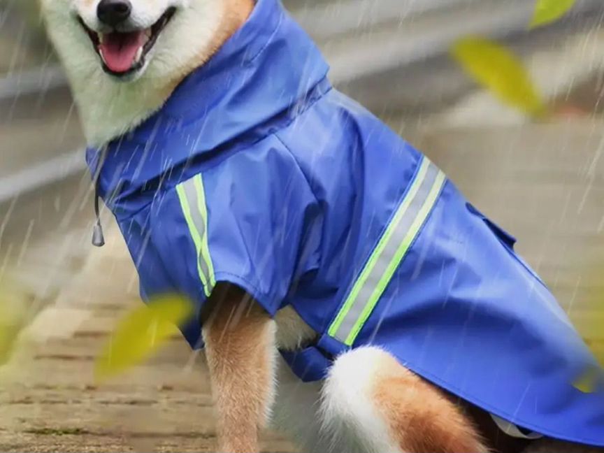 Дождевик для собаки