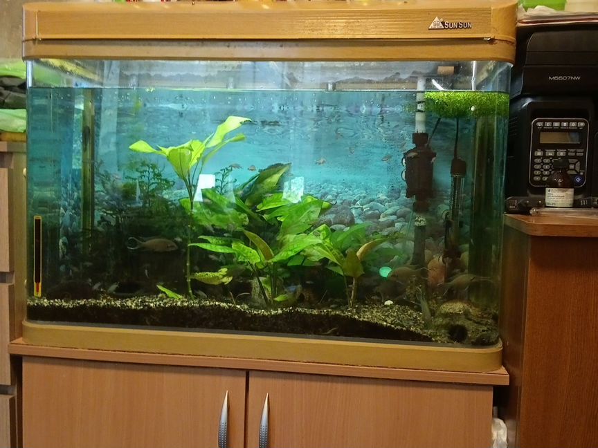 Аквариум с тумбой