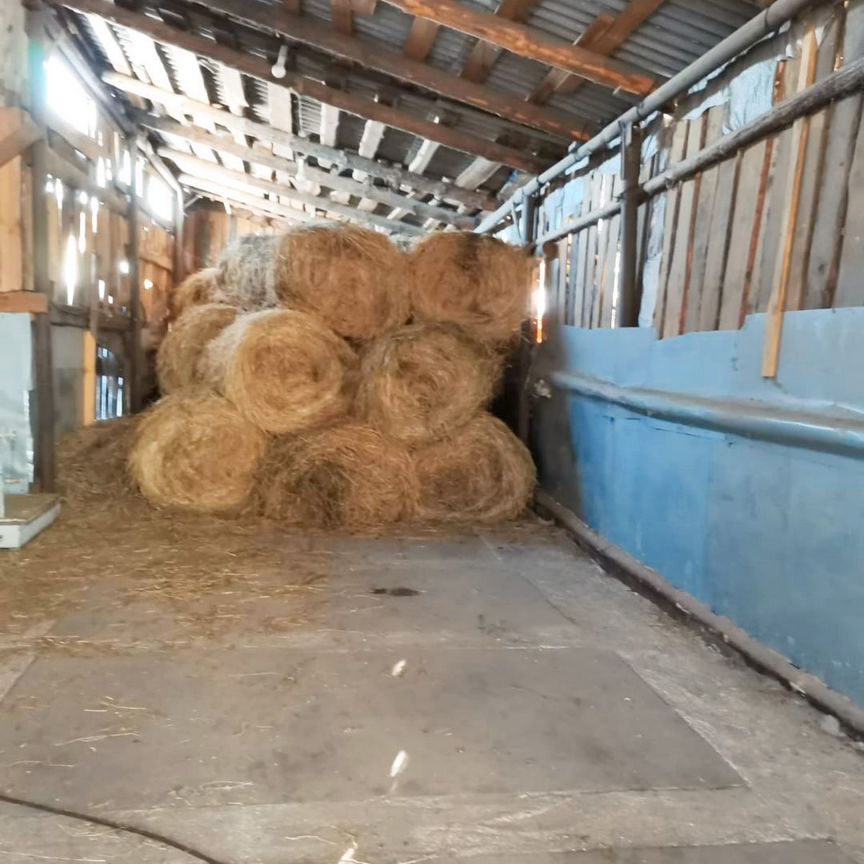 Продам сено в рулонах