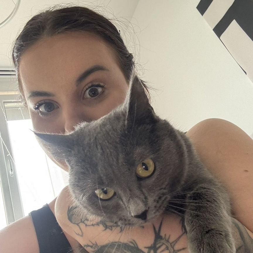 Кошка 1 шт