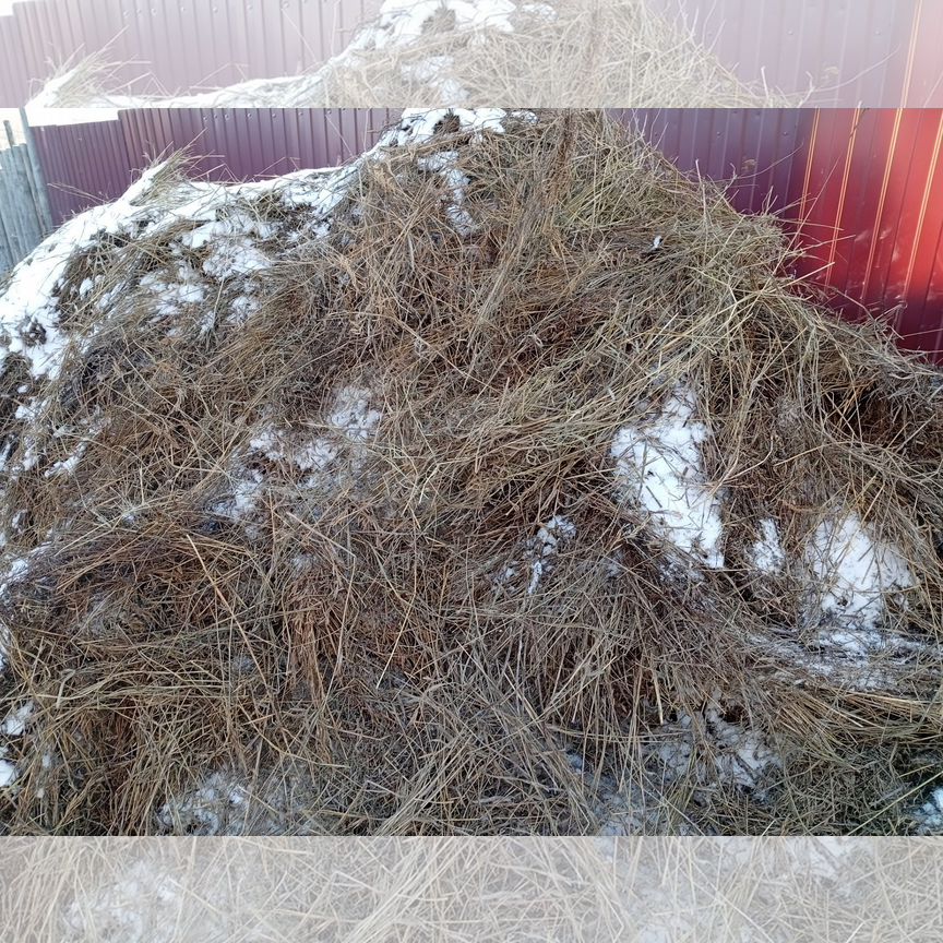 Сено на подстилку