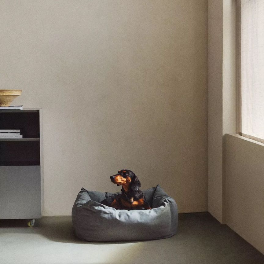 Лежанка для собак Zara home