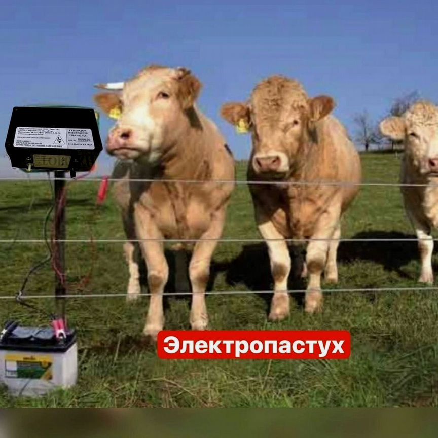 Электроизгородь. Защита пасеки