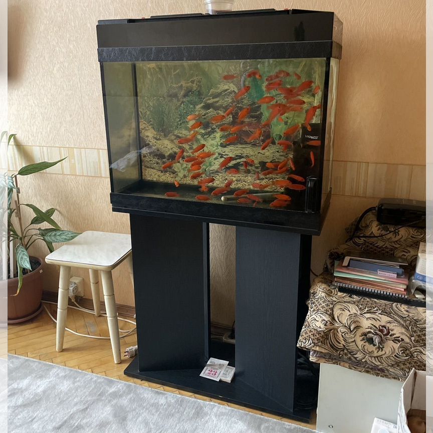 Аквариум для рыб