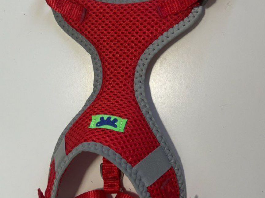 Шлейка для маленькой собаки