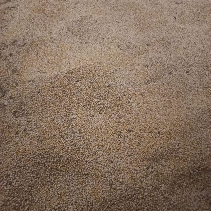 Отходы гороха