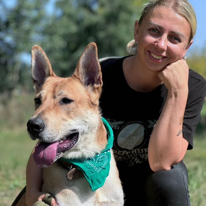 Пёс Шнапс в добрые руки