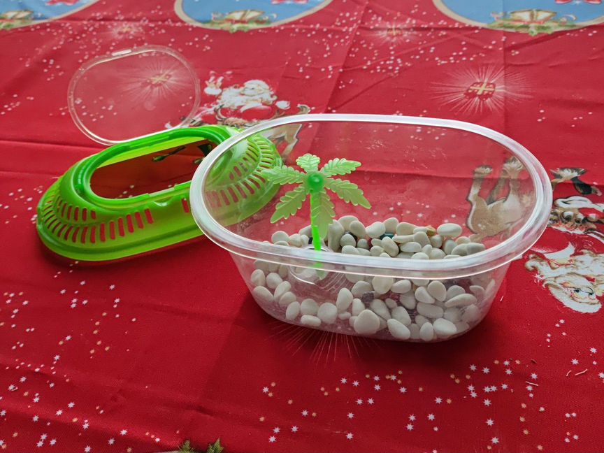 Домик для черепахи