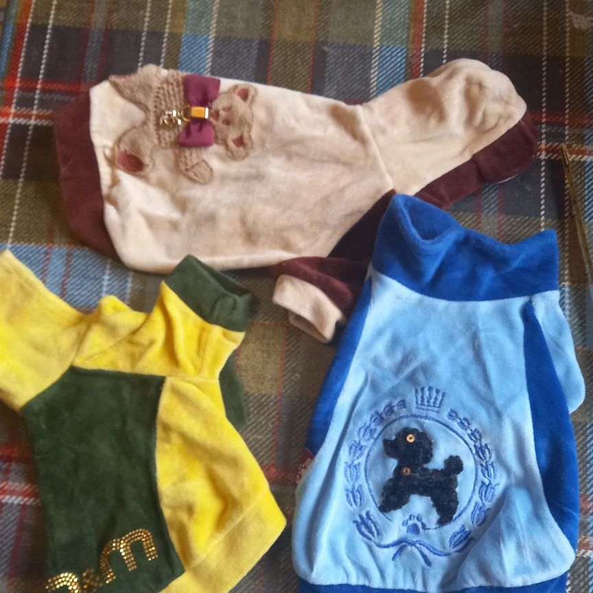 3 велюровые кофты для маленьких собак размер S