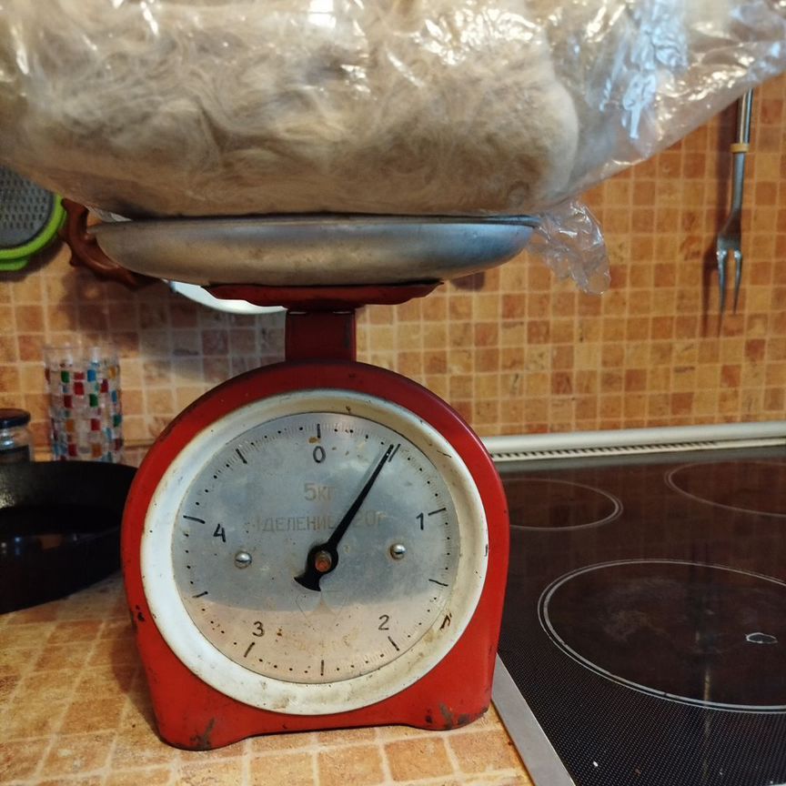 Шерсть вычес собачий болонка 0,5 кг