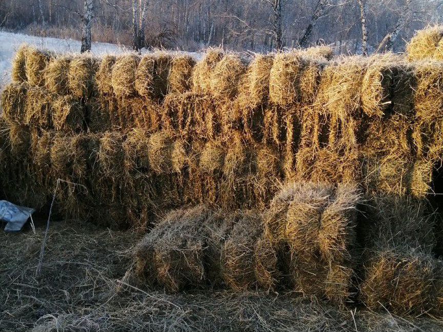 Сено, солома, отходы