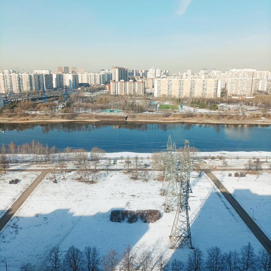 Найдена собака