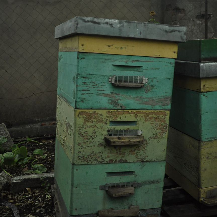 Продам ульи для пчел