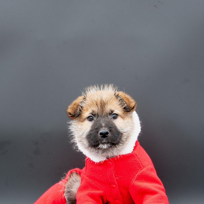 Малыш ждёт мам-пап