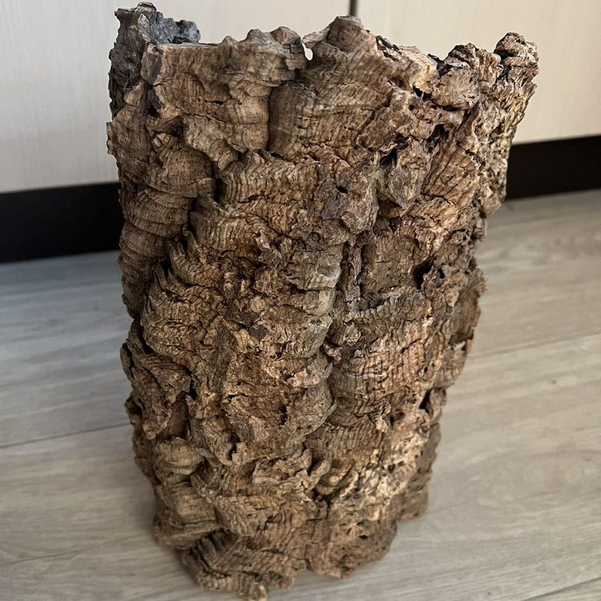 Кора пробкового дуба