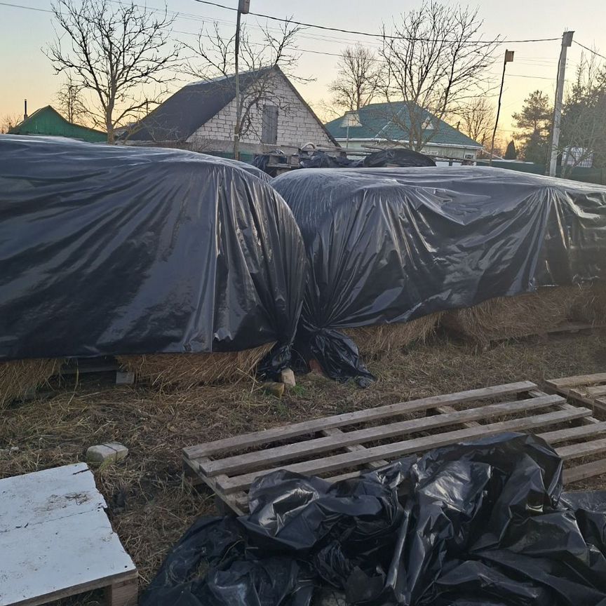 Сено в рулонах