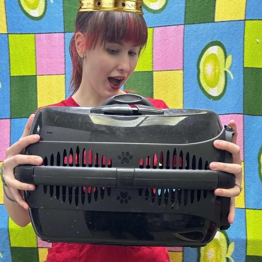 Переноска для животных бу