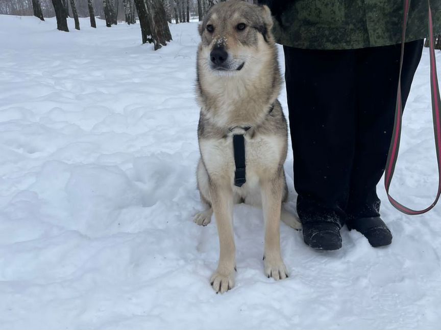 Алина ждёт своего человека