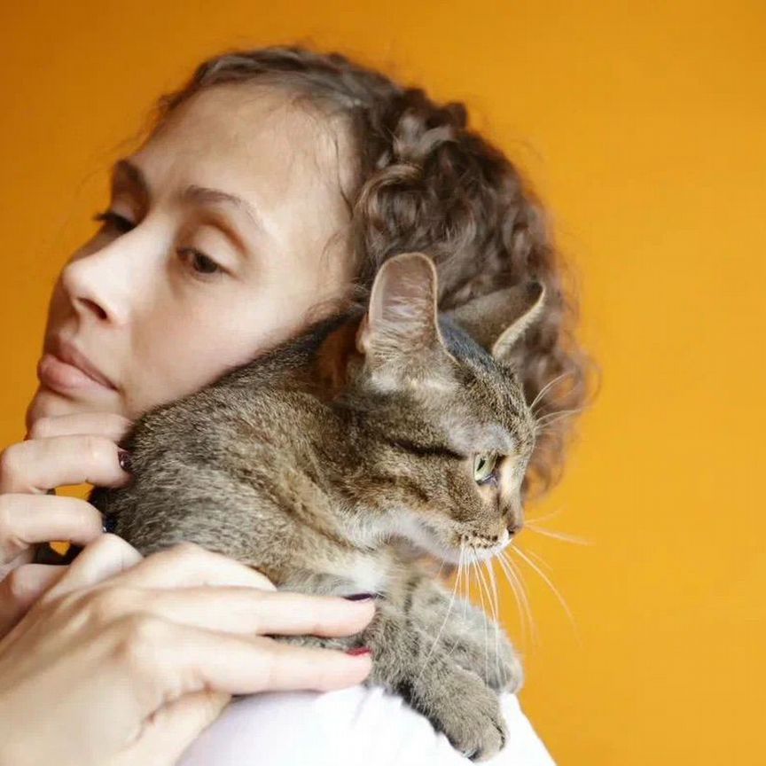 Кошка Дульсинея