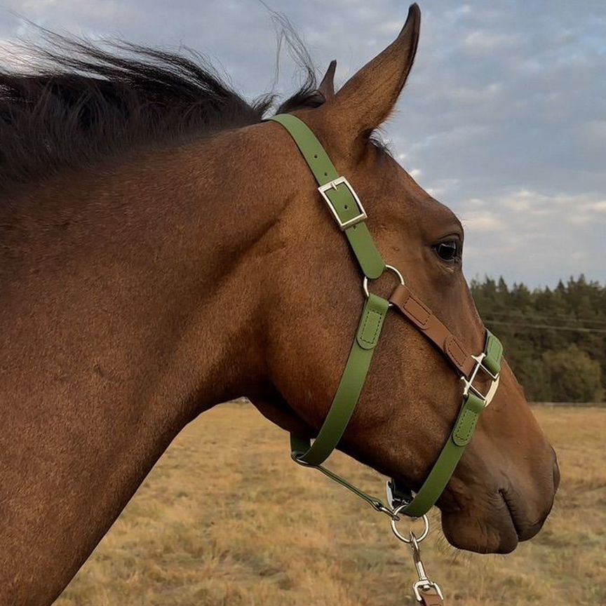 Недоуздок для лошади