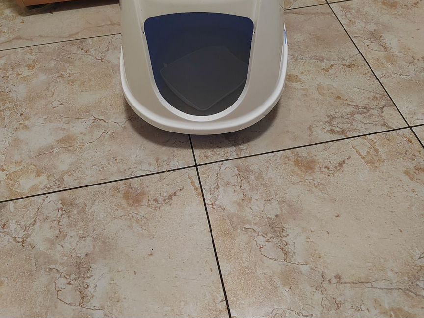 Закрытый лоток для кошек бу