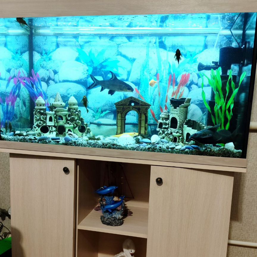 Аквариум 240 л. с рыбками
