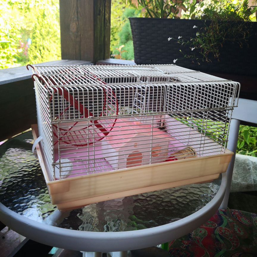 Клетка для грызунов