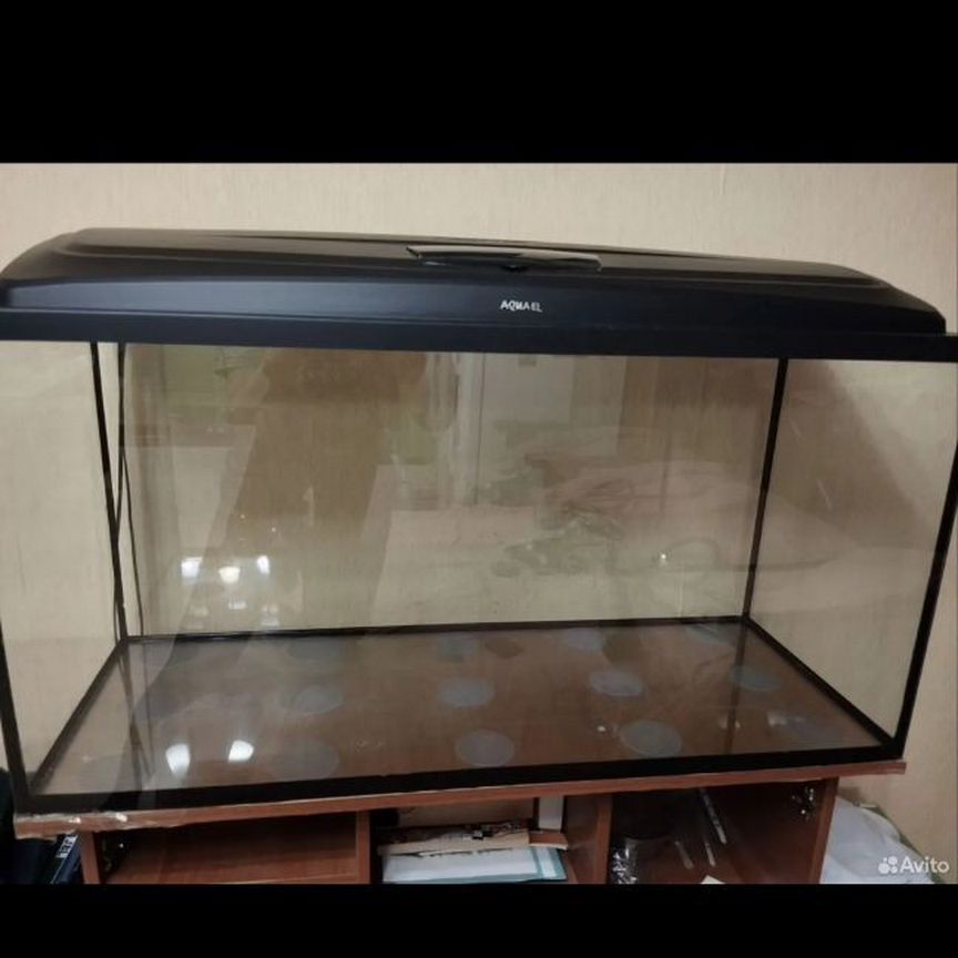 Аквариум
