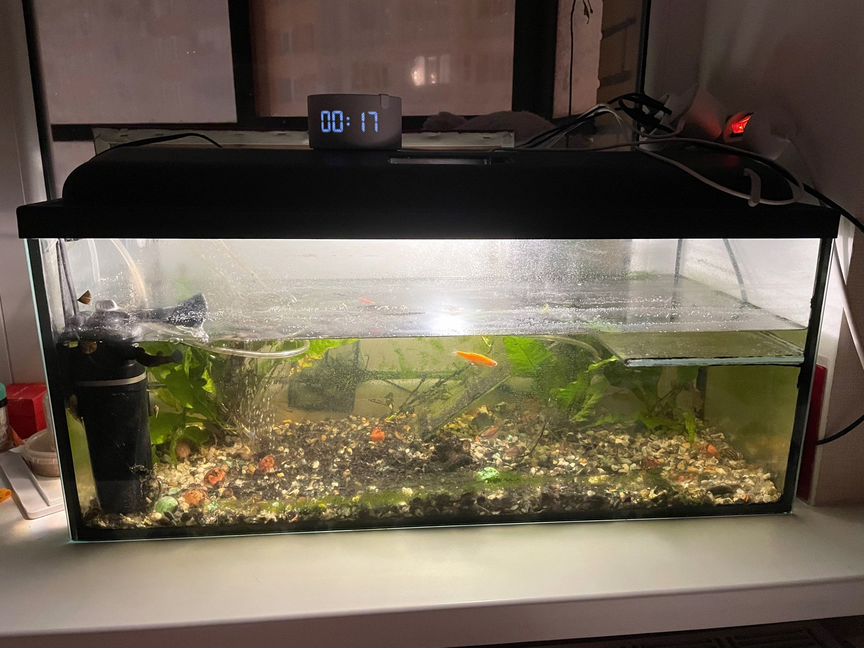 Аквариум 64 литра полный комплект