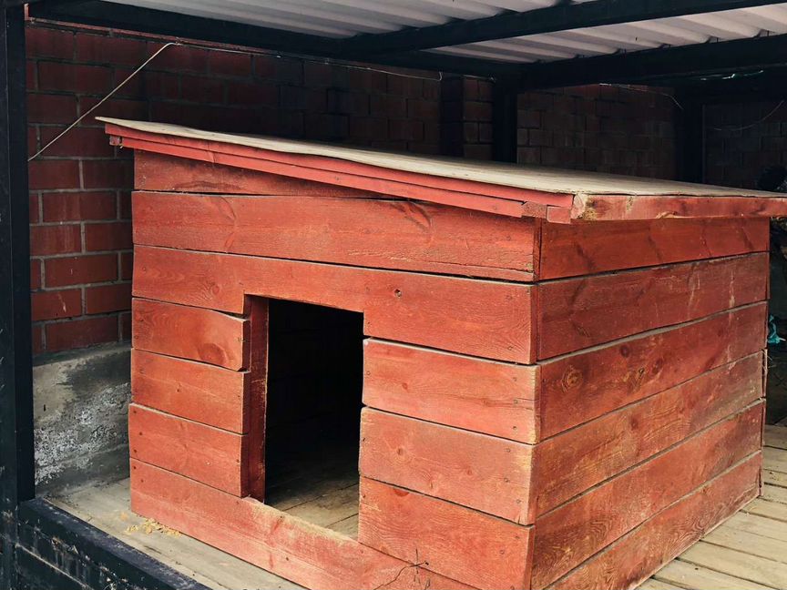 Собачья будка (конура)