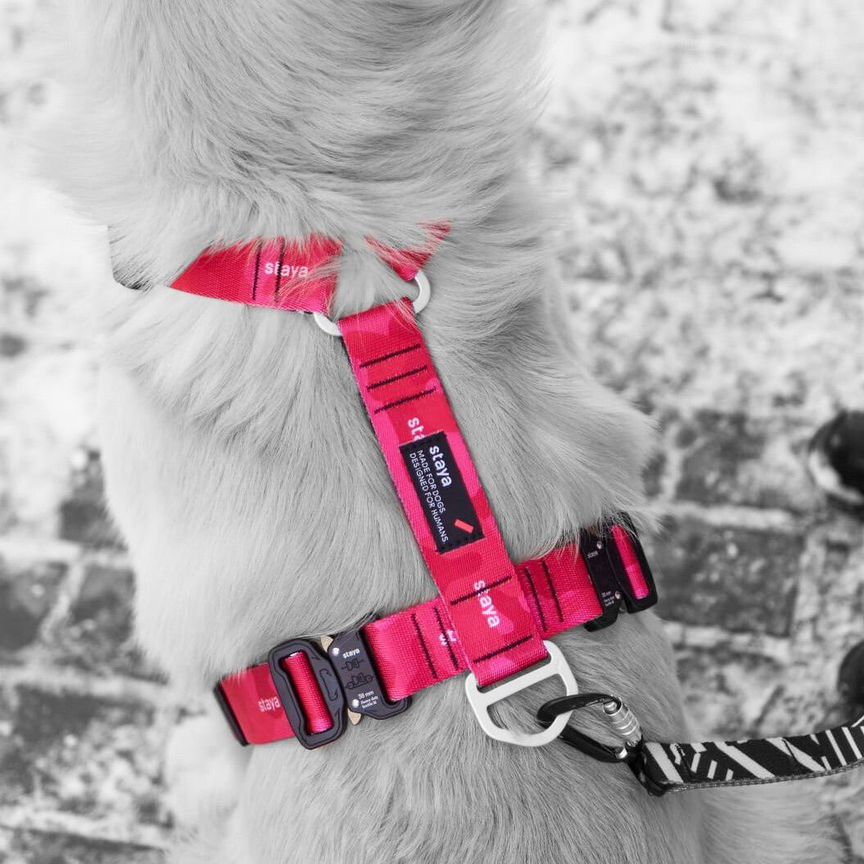 Анатомическая шлейка для собак Staya