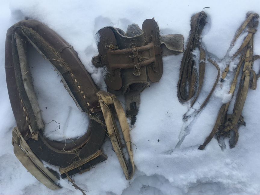 Упряжь для лошади