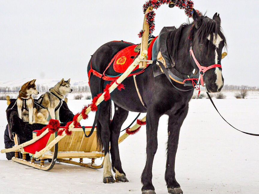 Сани Деда мороза