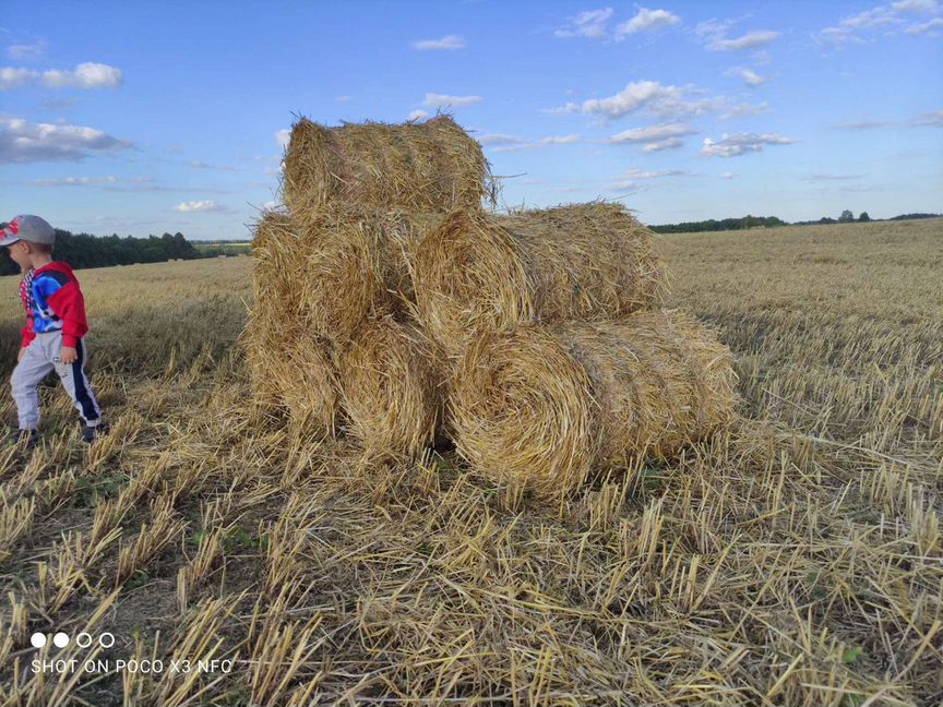 Солома в маленьких в рулонах