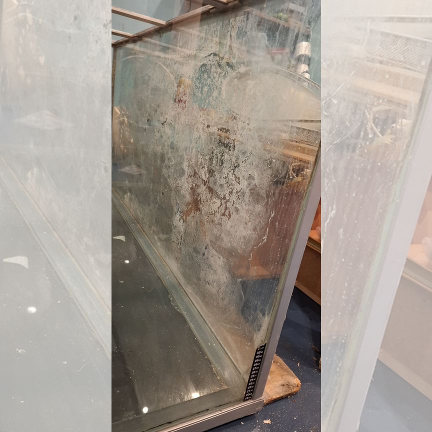 Аквариум 600 литров